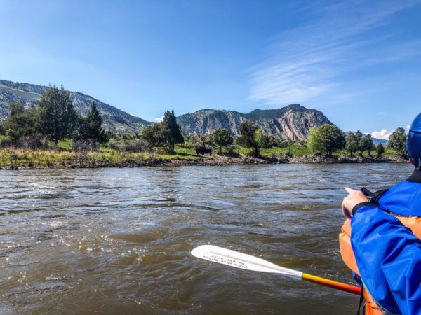 Guided Montana Float Trips on the Yellowstone River | Gardiner, MT