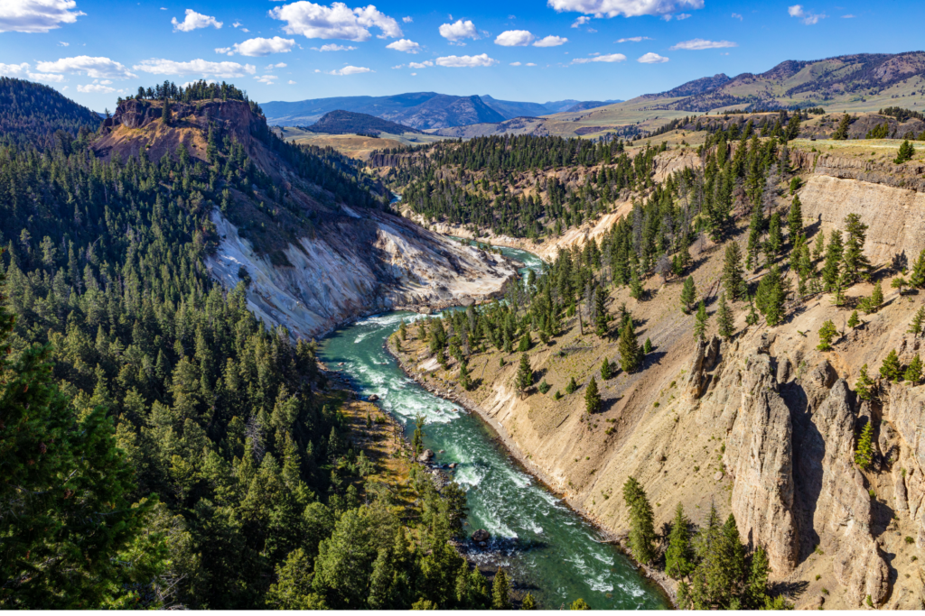 Best Things to Do in and Around Yellowstone’s North Entrance