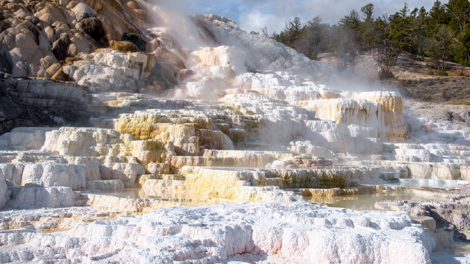 Best Things to Do in and Around Yellowstone’s North Entrance