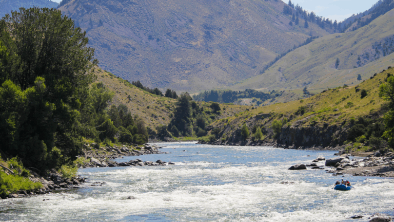 Things to Do on the Yellowstone River: Fishing, Rafting, & More